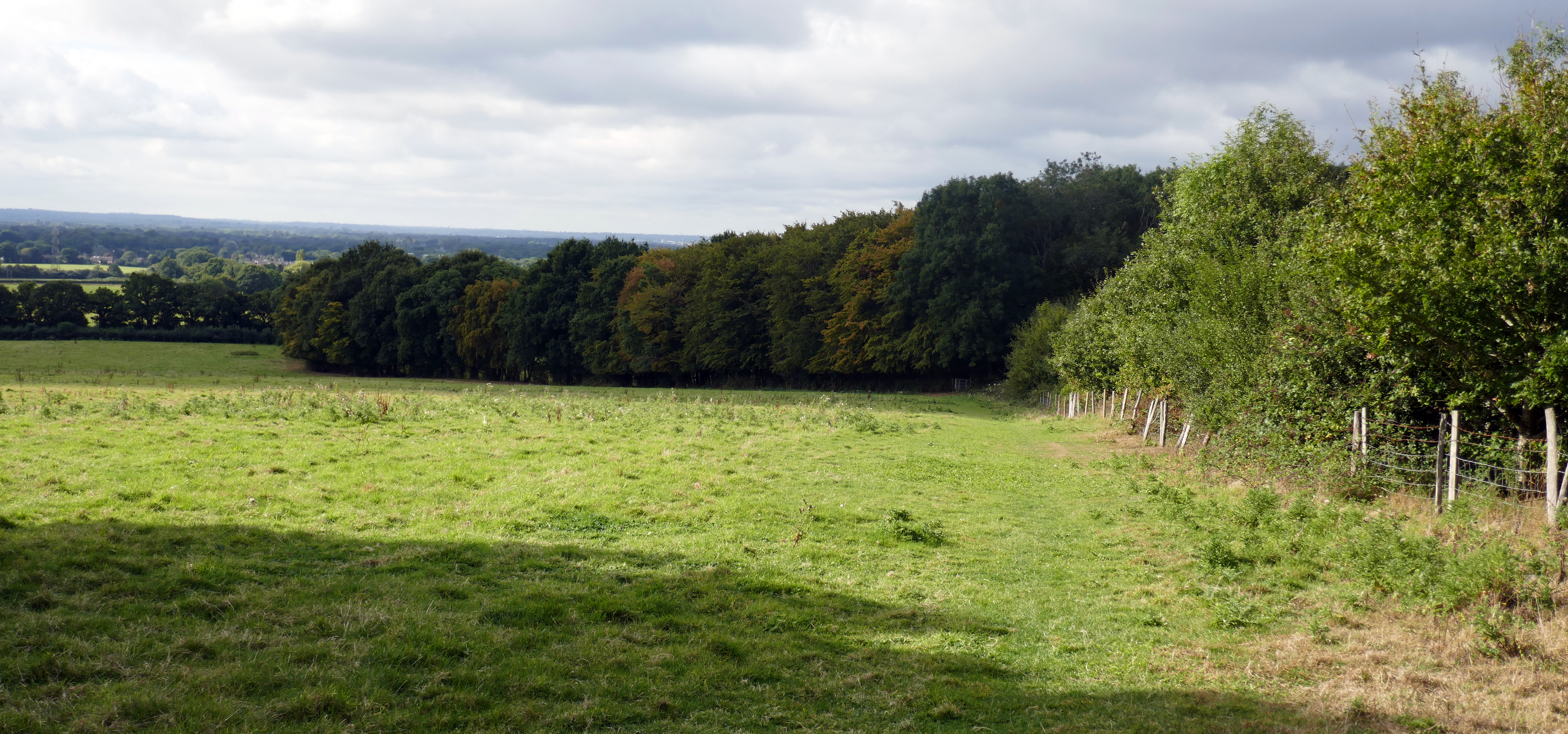 Nutfield to Gatwick Airport – Lwalks.London
